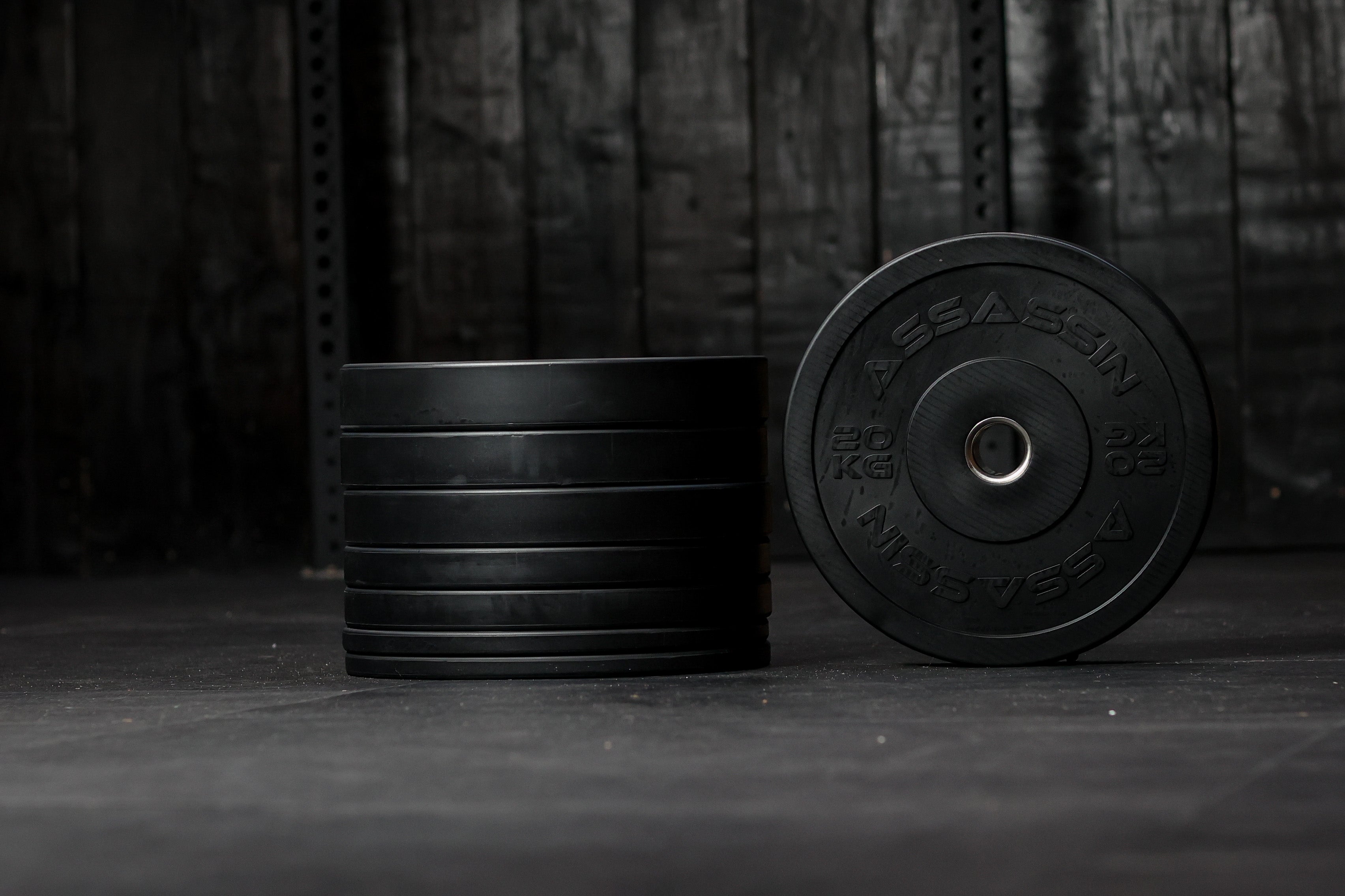 Bumper Plates – Assassin Goods